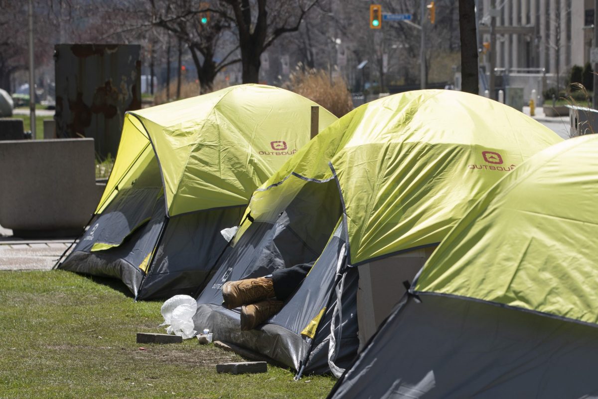 Estimates Of Homelessness In Canada Per Year Ladybug Hub